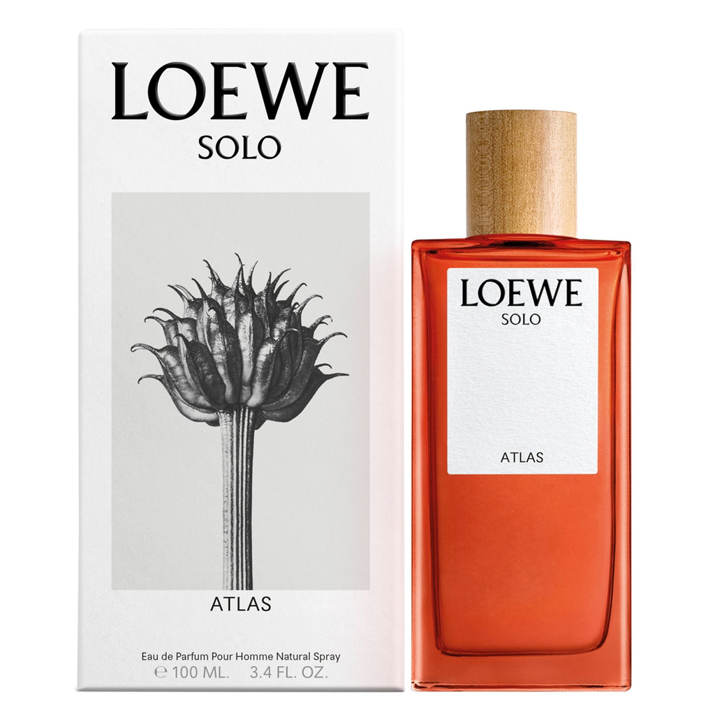 Solo Atlas by Loewe 100ml EDP for Men | Perfume NZ